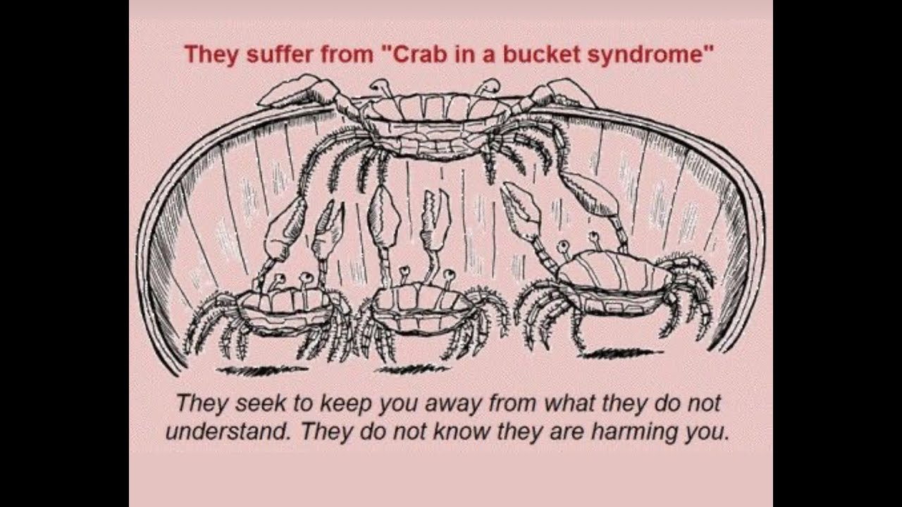 YOU are a bully, crabs in a bucket.... Mercury Retrograde Energy strong in a small town - YouTube