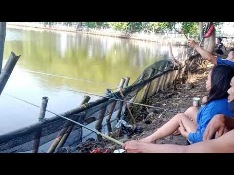 MANCING BARENG ANGLER CANTTIK