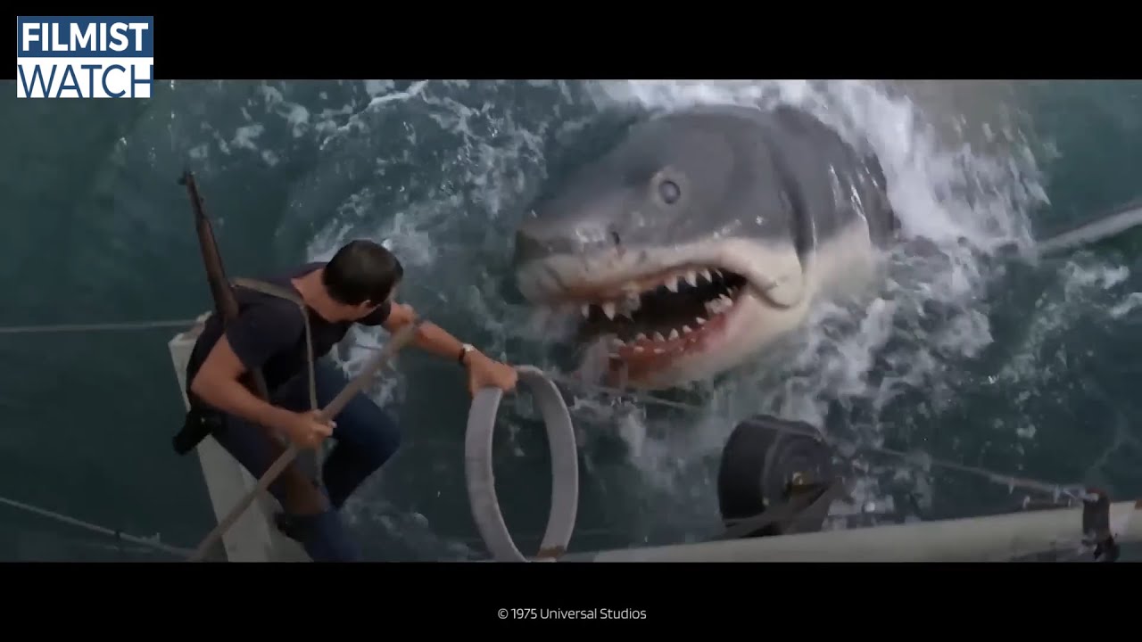 Jaws: Killing the Shark - YouTube
