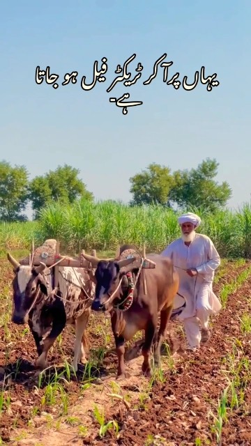 yahan par aakar tractor Fall ho jaty hay💜💜💙💙💜🧑‍🤝‍🧑👭 - YouTube