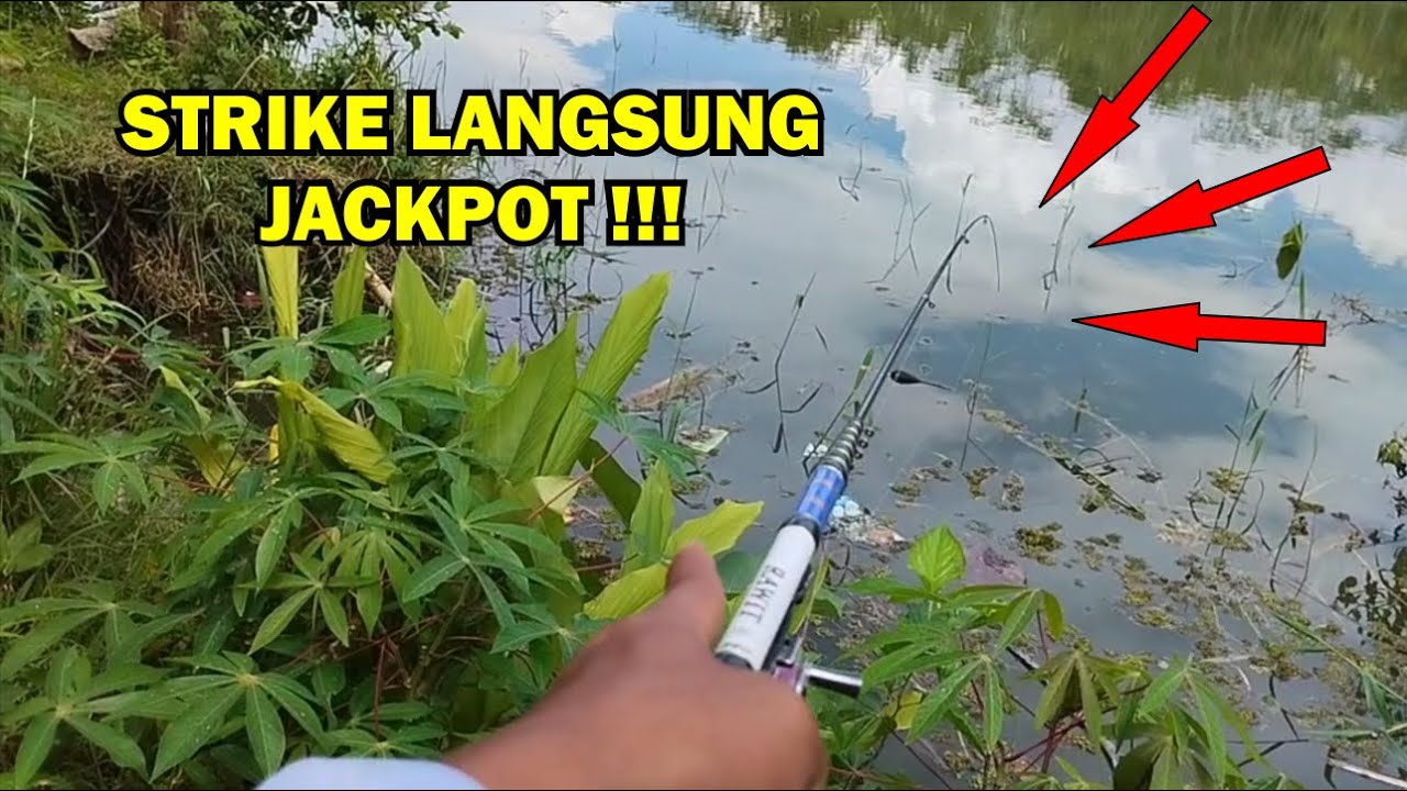 Langsung Di Kasih Jackpot Strike Pertama !!! Mancing Ikan Lohan Dan Red ...