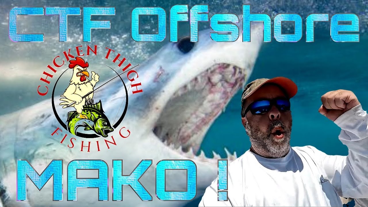 Mako Shark! - Shark Fishing on Chicken Thigh Fishing #makoshark # ...