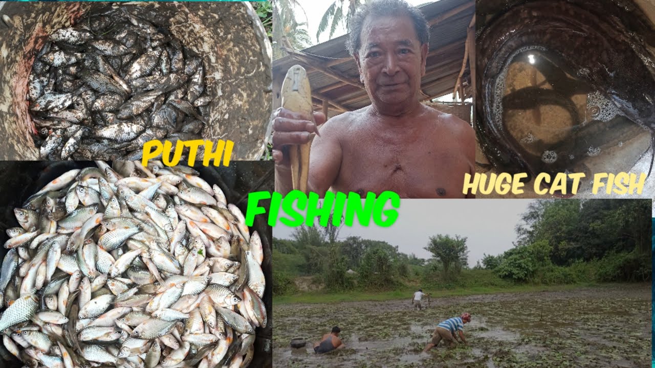#catfish, puthi fishing in pond 🐟🐟🐟🐟🐟 - YouTube