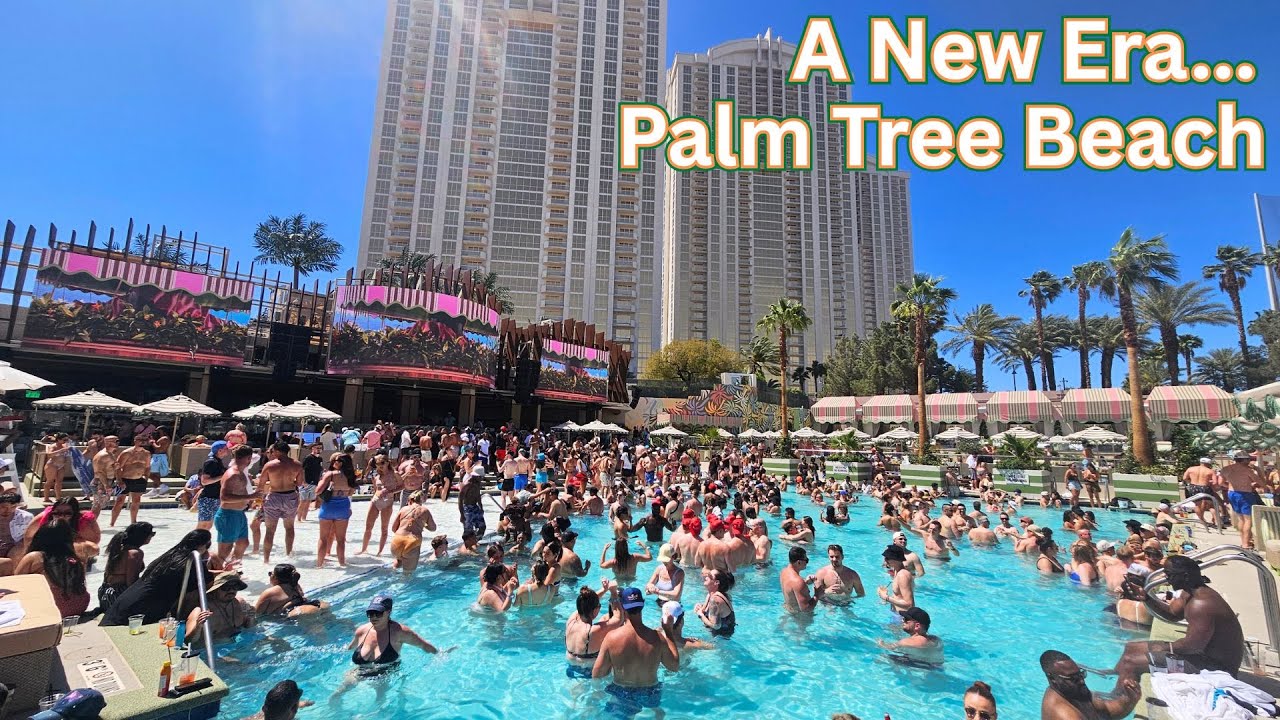 This Just Opened in Vegas… and It's a Whole New Vibe 🌴 Palm Tree Beach ...