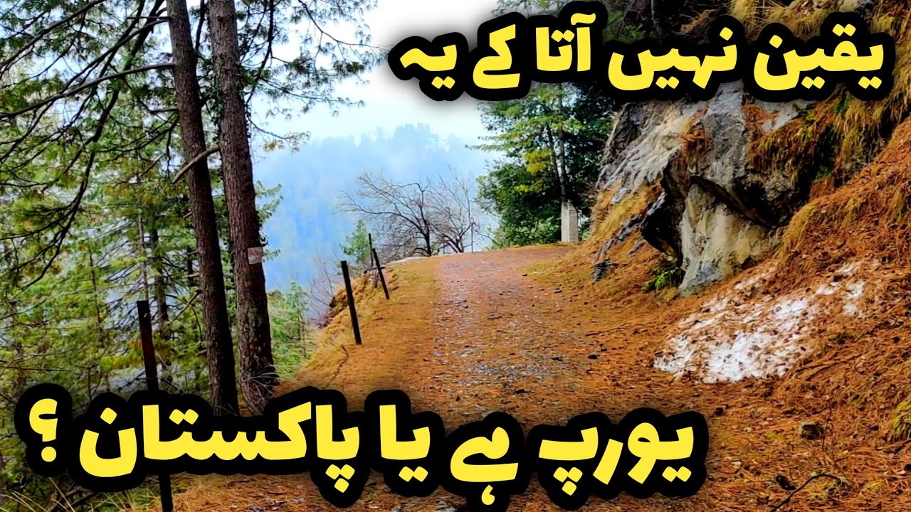 #murree to #nathiagali road | Beautiful and peaceful place in Galiyat ...
