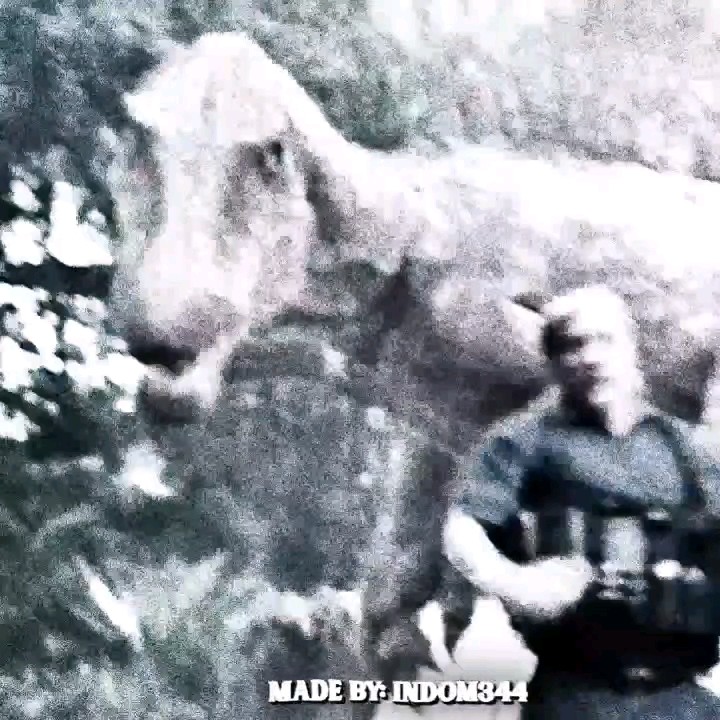 T-Rex Killer Edit | #jurassicworld #edit - YouTube