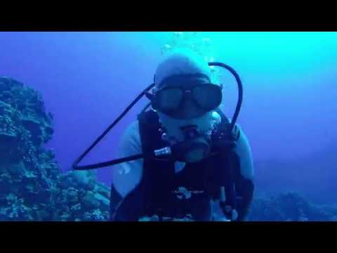 Scuba Diving on Sunken Moai at Easter Island march 2019 - YouTube