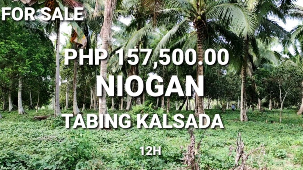 #466 #NIOGAN AT SAGINGAN SA TABING KALSADA - YouTube