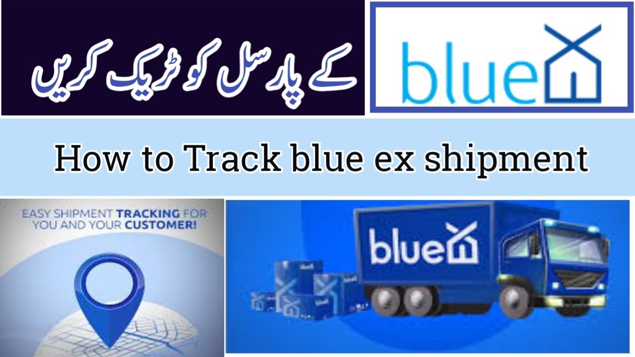 How to track blue ex parcel || blue ex tracking || trace blue ex ...