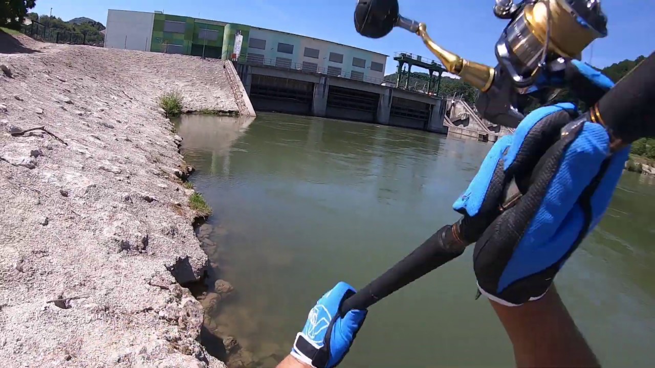 Catfish spinning - YouTube