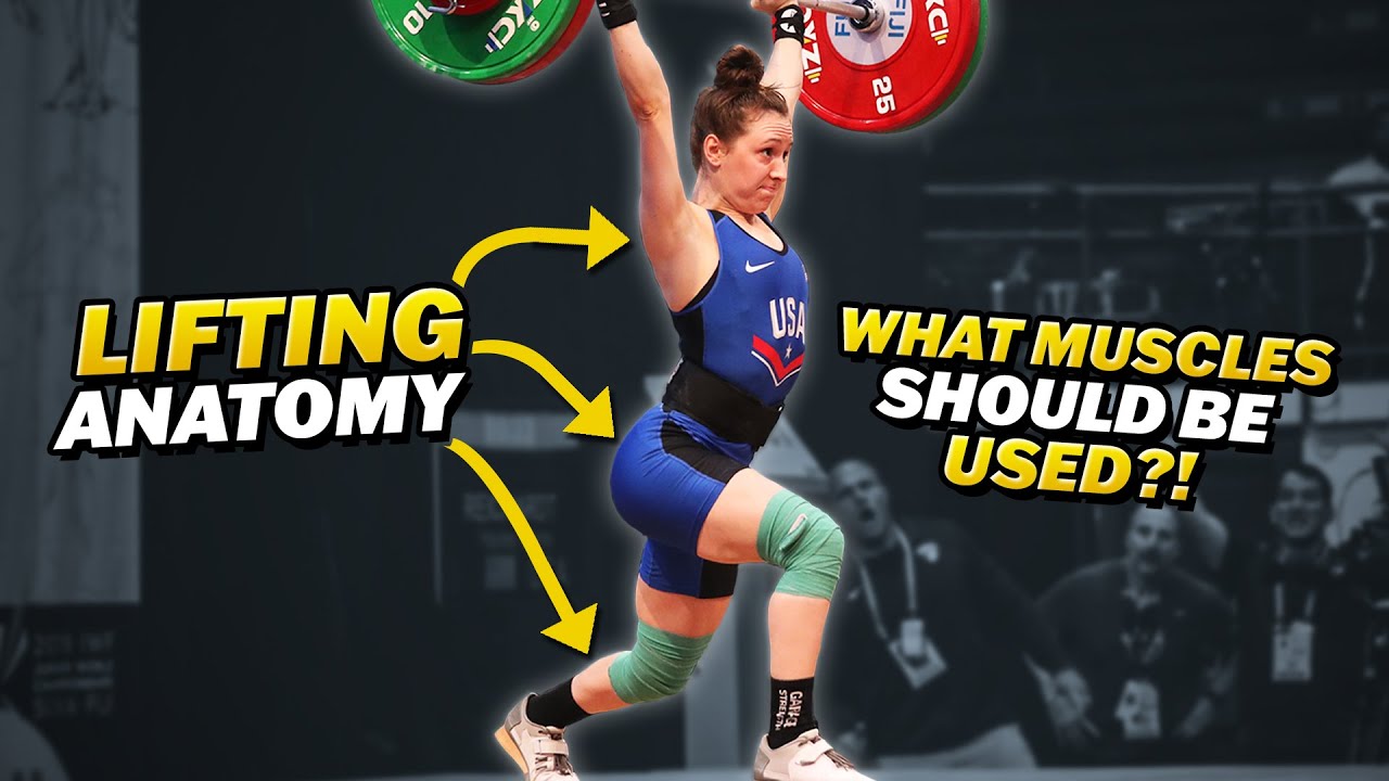 Understand Muscles For Weightlifting - YouTube