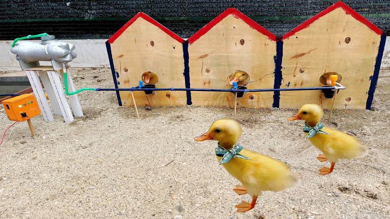Construction of mini water tank | Make a drip water project | Small ...