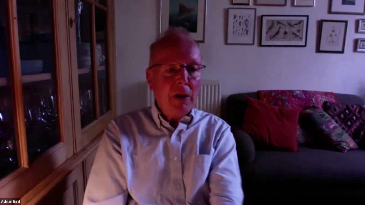 A Chat with Professor Sir Adrian Bird - YouTube