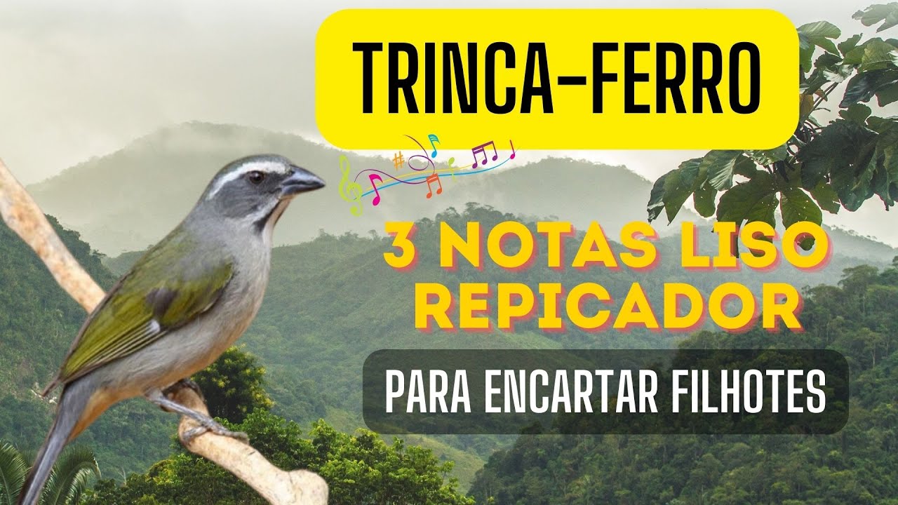 Trinca ferro 3 notas liso repicador - YouTube