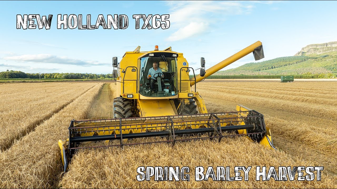New Holland TX65 | Combining Spring Barley - YouTube