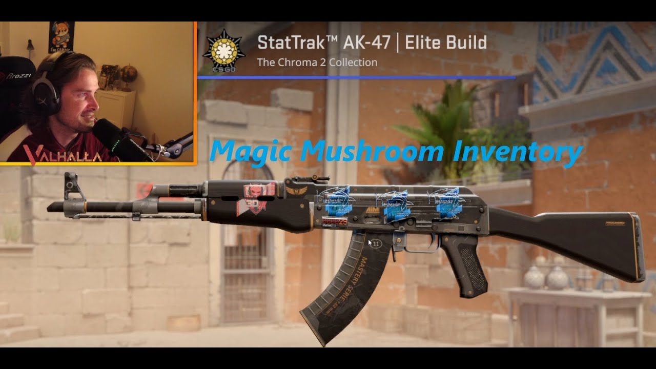 CS2s best inventories #2 Magic Mushroom - YouTube
