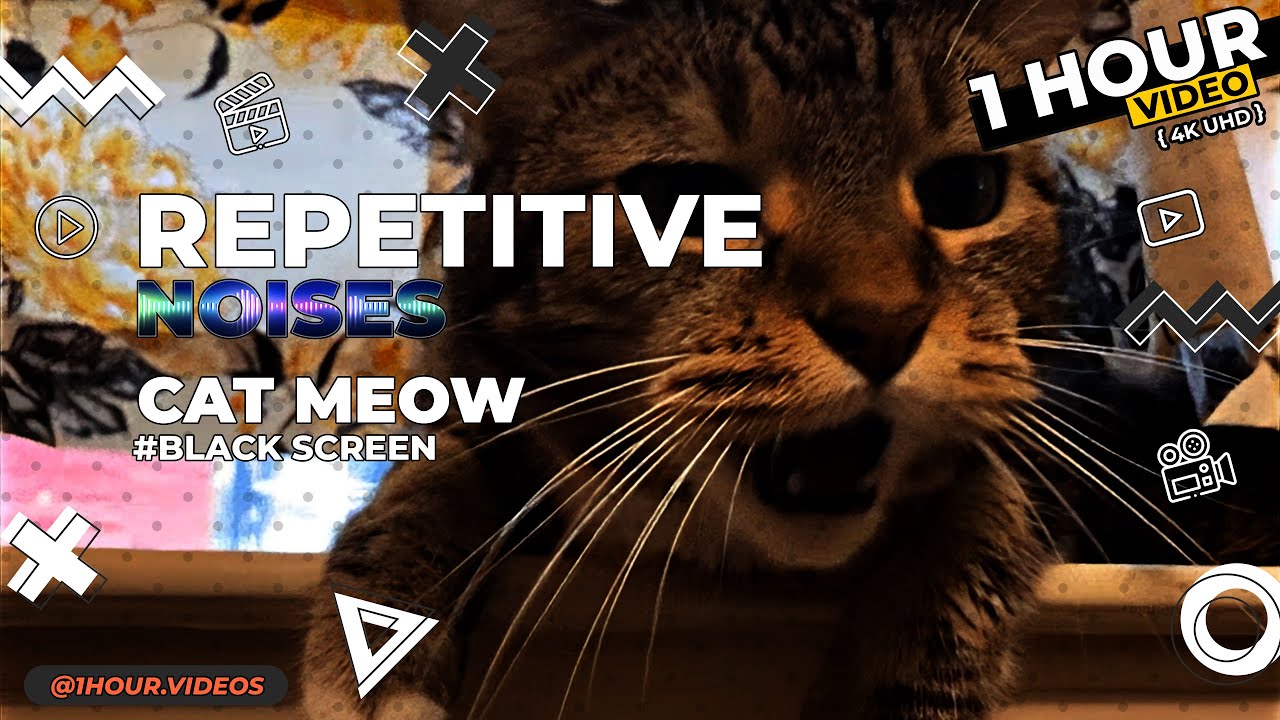 Cat Meow - 1 Hour - 4k - Black Screen - Repetitive Noises/Sounds - YouTube