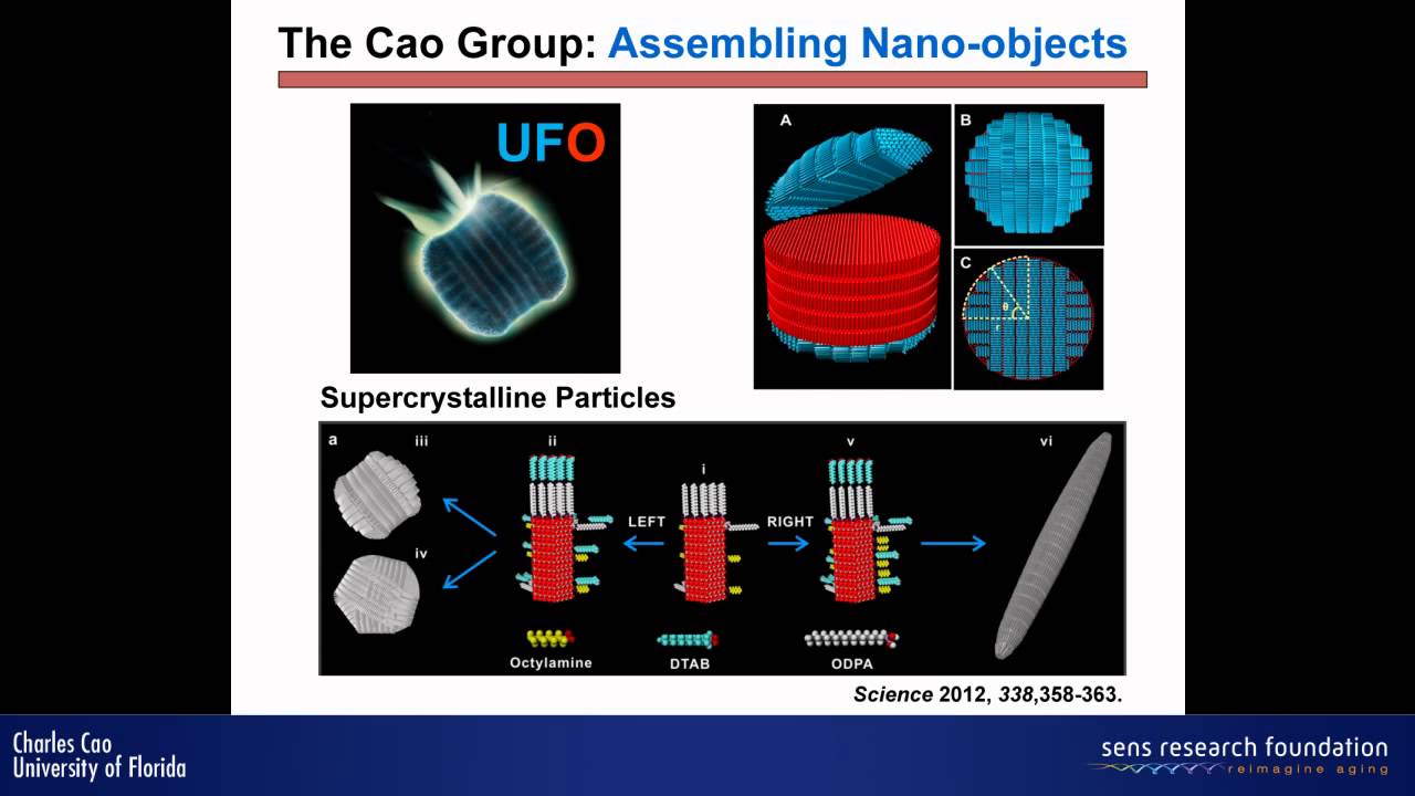 Nanoparticle-based artificial RNA silencing machinery for antiviral ...