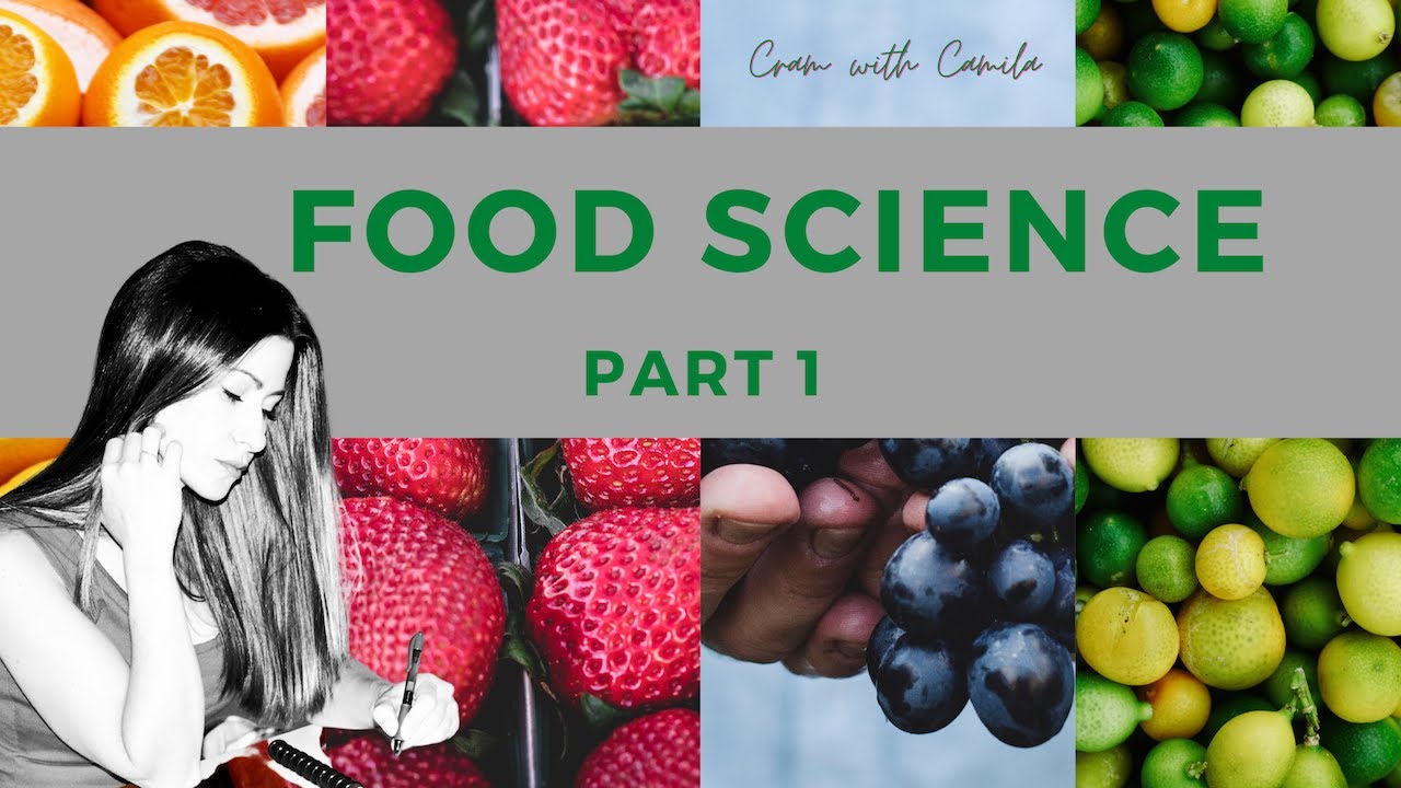 RD Exam Study Guide Food Science Part 1 - YouTube
