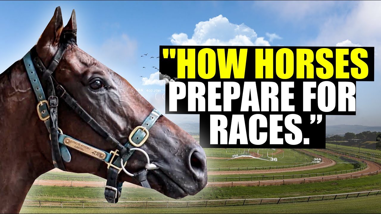 How Horses Prepare For Races - YouTube