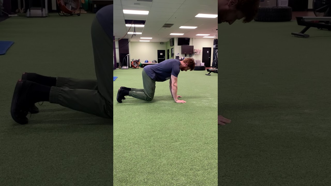 Quadruped Knee Lifts - YouTube