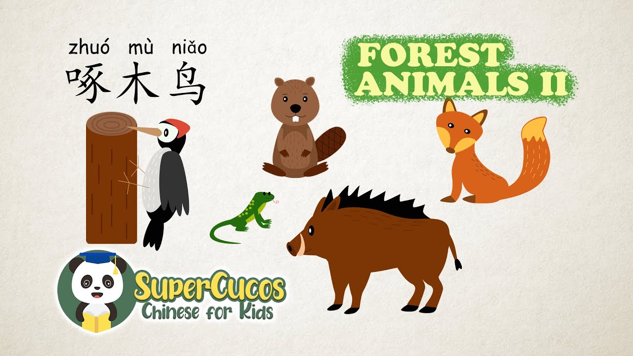学中文-森林动物 2| Learn Chinese for kids - Forest Animals Part 2 | Aprender ...