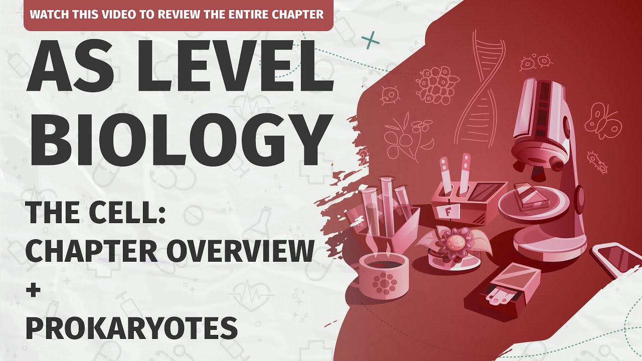 AS Biology | The Cell: Chapter Overview + Prokaryotes | MedQuack - YouTube