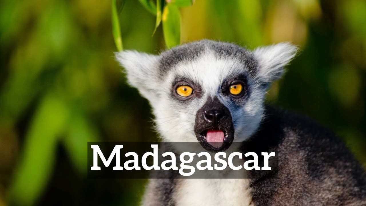 What is Madagascar? | How Does Madagascar Look? | How to Say Madagascar ...