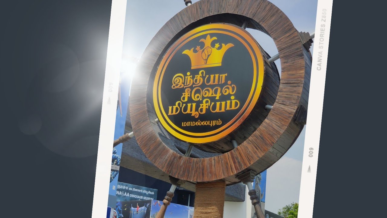 Sea Shell Museum In Chennai - YouTube