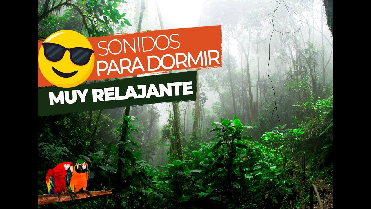 Selva Sonidos de la Selva para Niños - YouTube