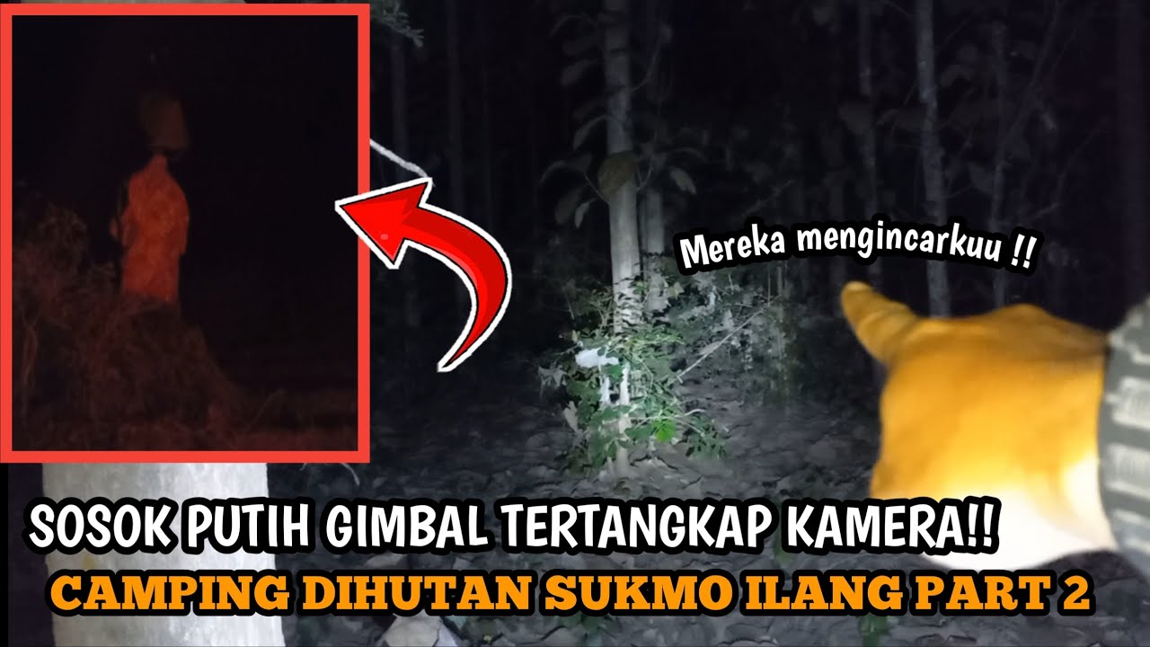 CAMPING HOROR: MELAWAN RASA PENASARAN DIHUTAN SUKMO ILANG - YouTube