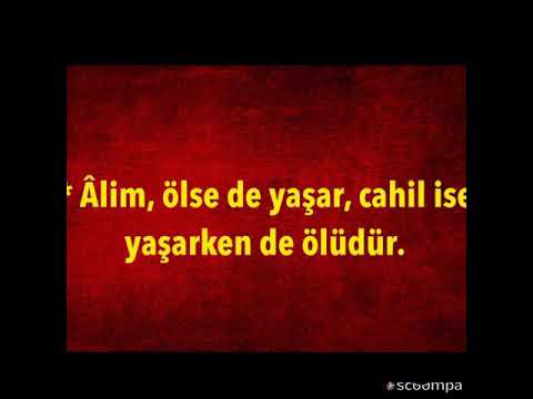 Mahmut efendi hazretlerinin gülleri