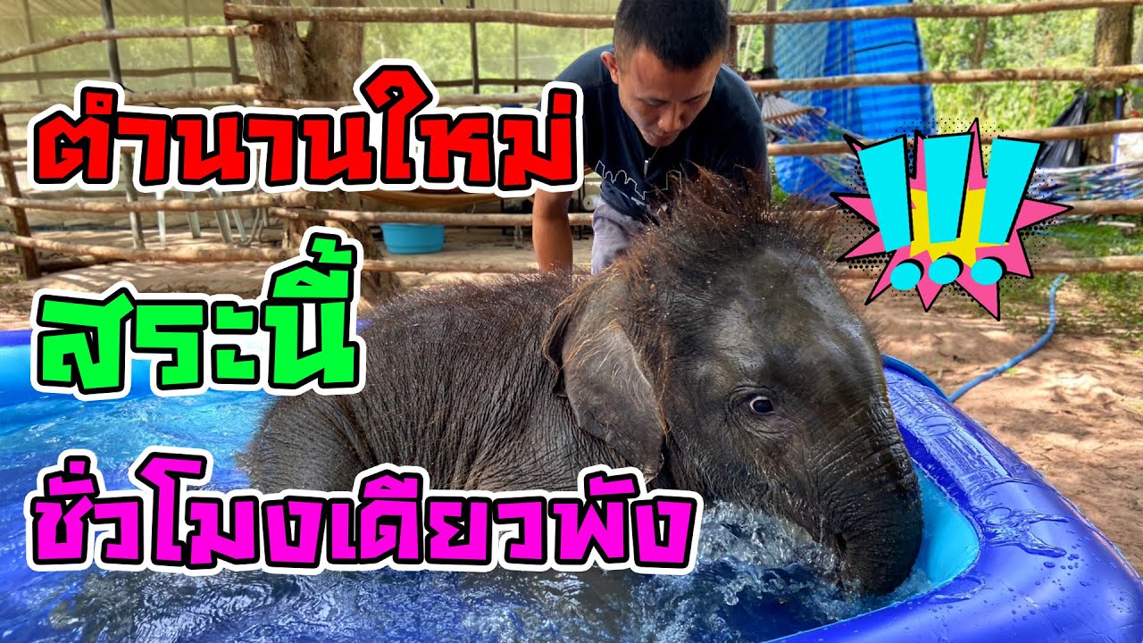 มีนา เด็กหญิงจอมทำลายล้าง กลิ่นของใหม่ยังไม่ทันจาง เล่นไม่ถึงชั่วโมง ...