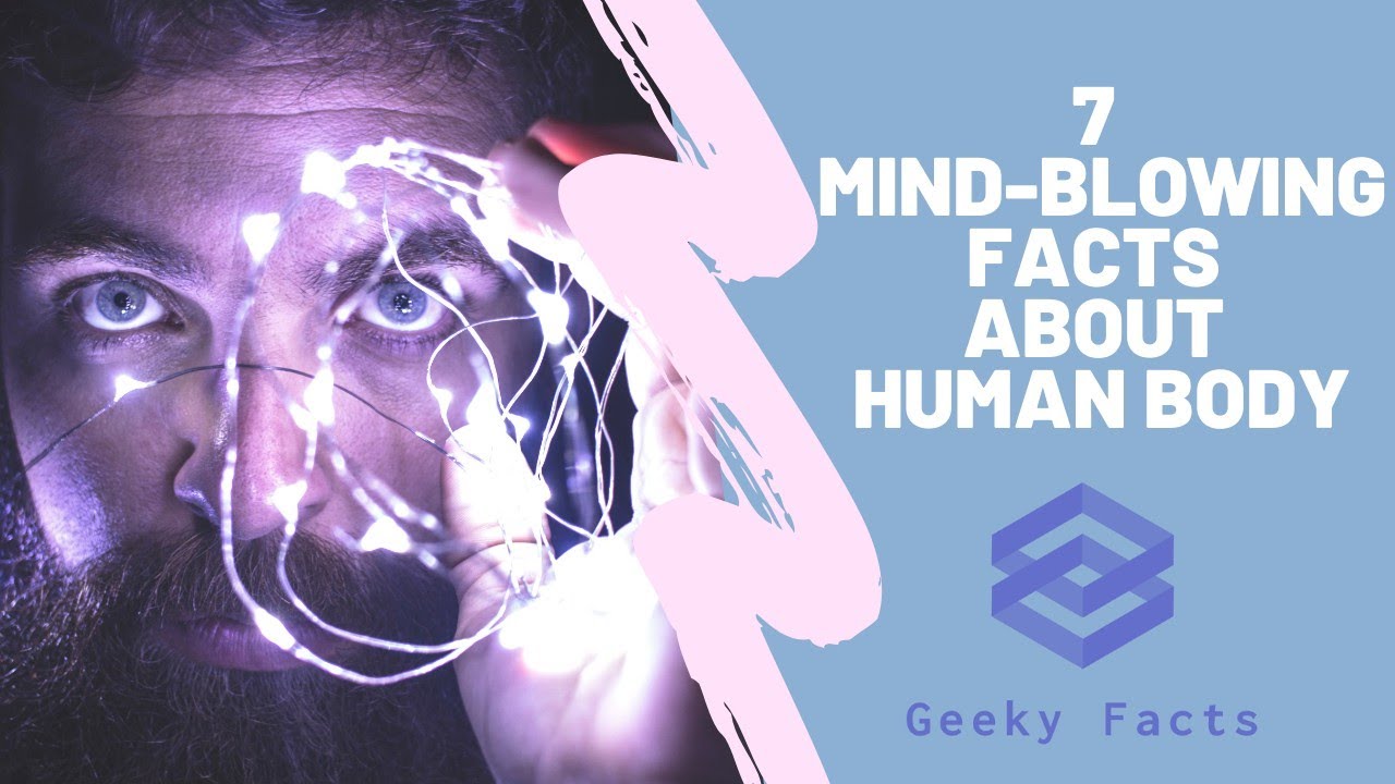 7 Mind-Blowing facts about Human Body | facts | Human Body | Geeky ...