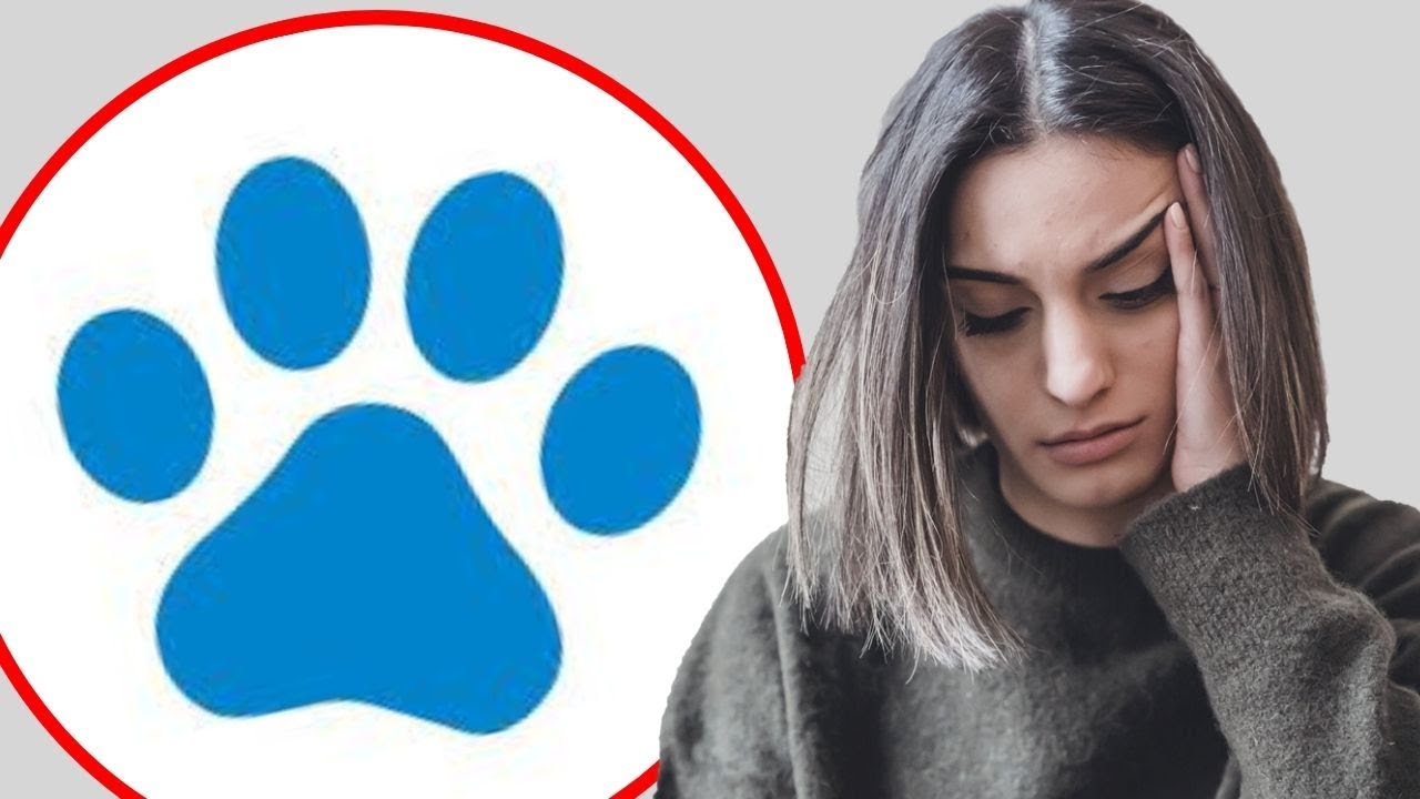 BTTR Stock (Better Choice Company stock analysis) BTTR STOCK PREDICTION ...