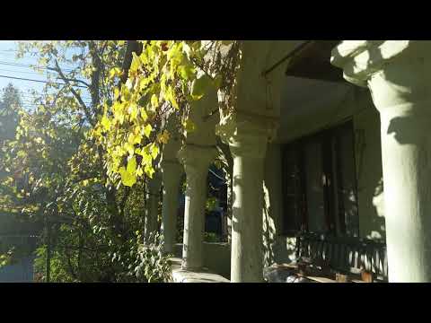 Keri & Nimeni Altu' & Omar Corbu : Parcă