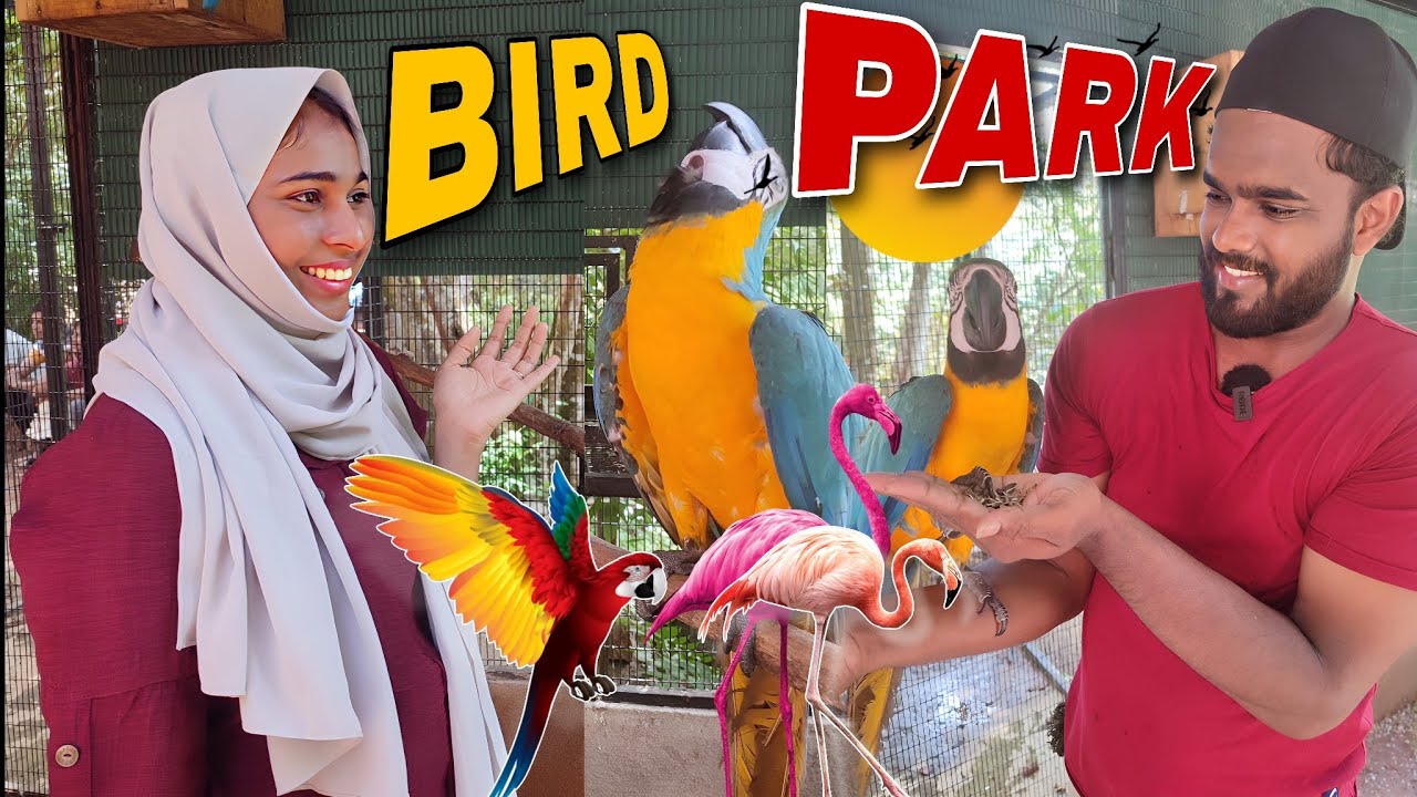 KANDY BIRD PARK 😍 | Irfan & Farziya | SL Bubblegum - YouTube