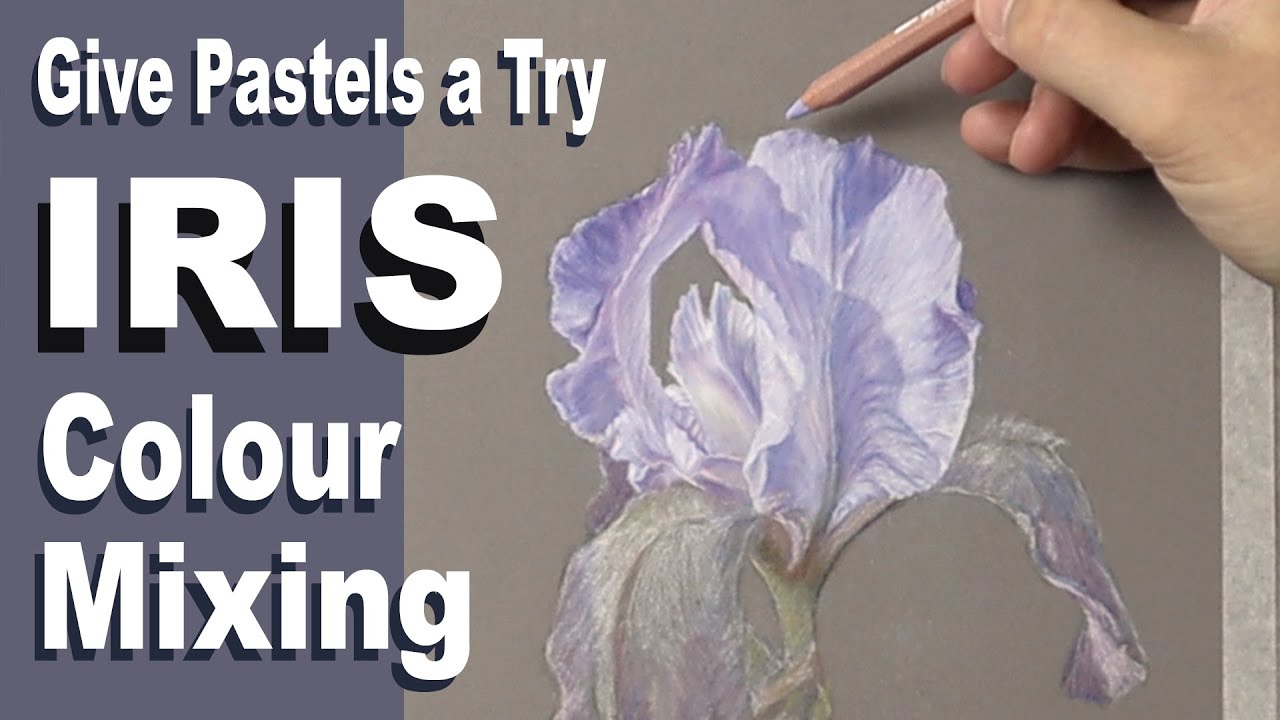Pastel are fun to use... give them a try ~ Iris flower painting Part 1 ...