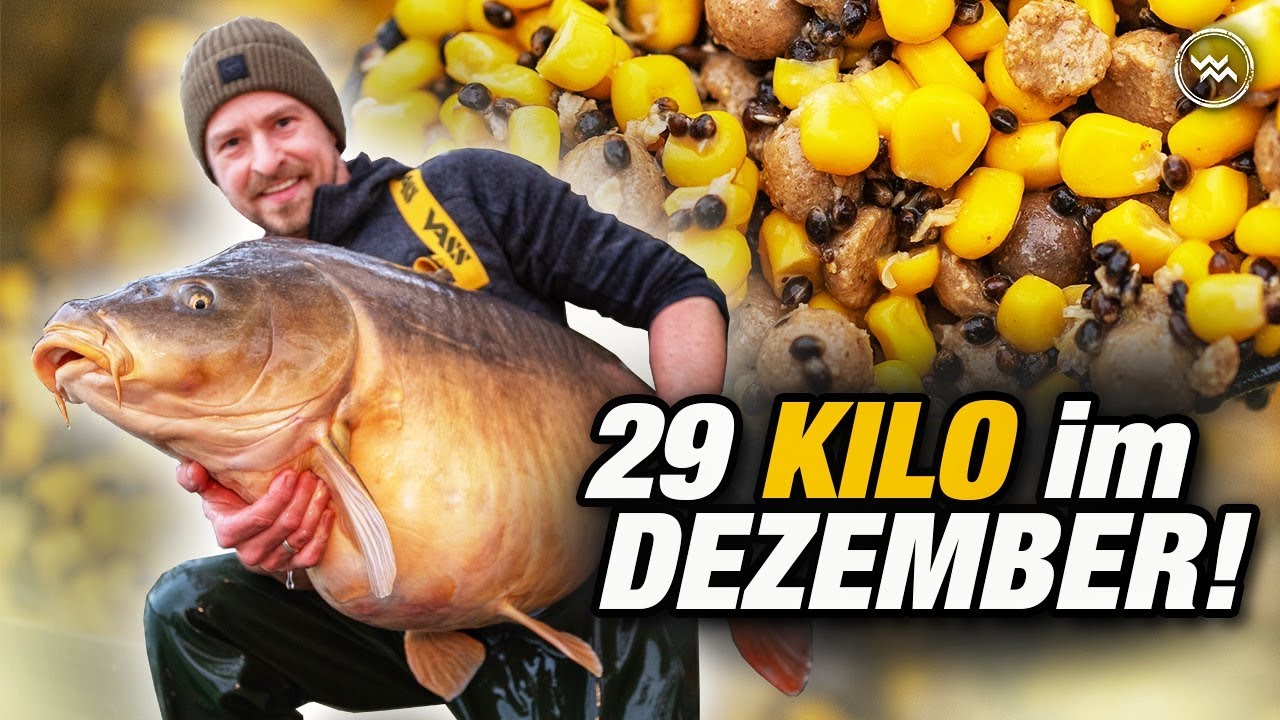 Karpfenangeln im Winter 🌽 auf Monsterfische mit Dosenmais - YouTube