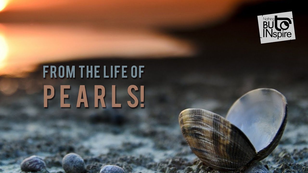 From The Life Of Pearls! - YouTube