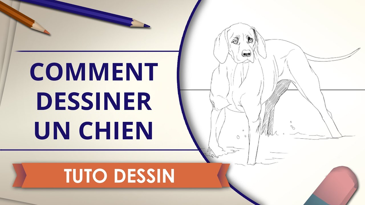 Dessiner un Chien étape par étape - Tuto Dessin - YouTube