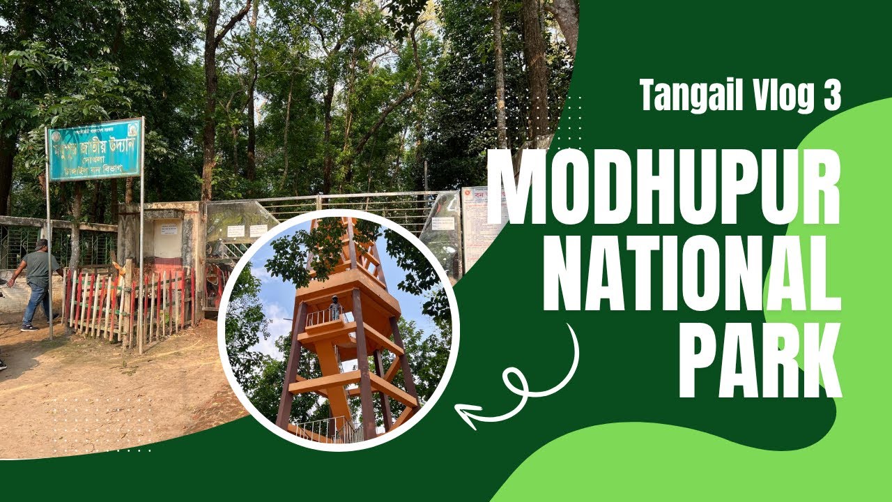 Modhupur National Park | Tangail Travel Vlog EP.3 | Hidden Natural ...