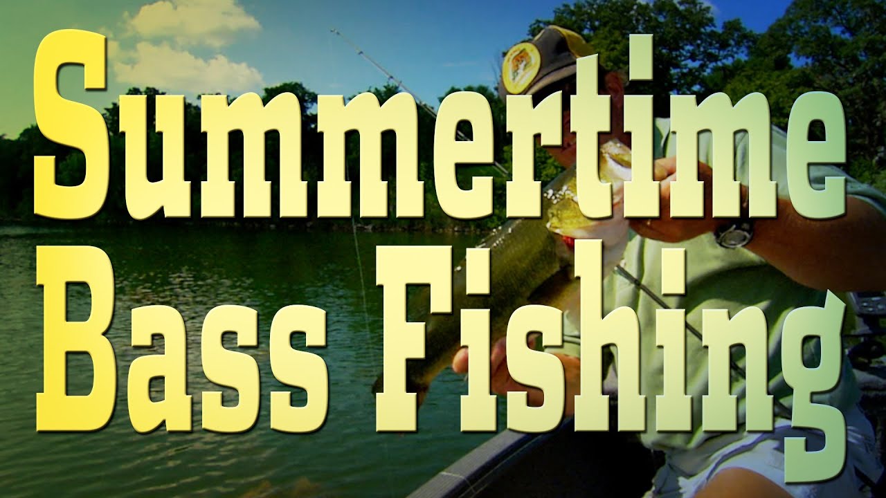 Summertime Bass Fishing: Vertical Drop! - YouTube