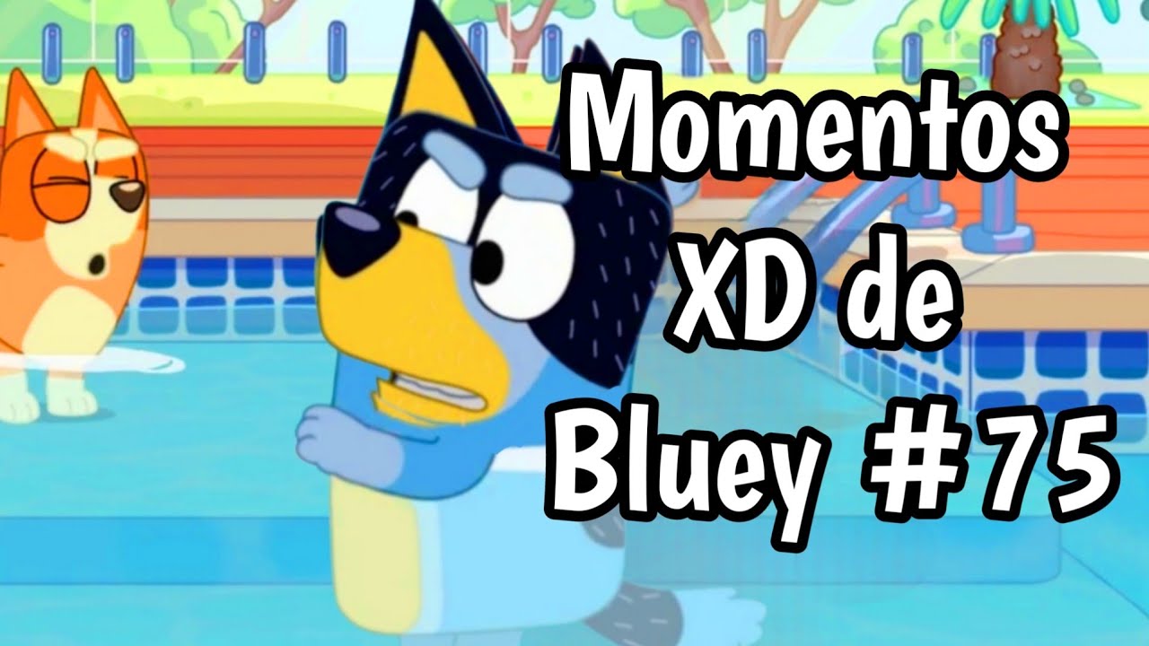 Momentos Xd De Bluey 75 La Piscina Youtube