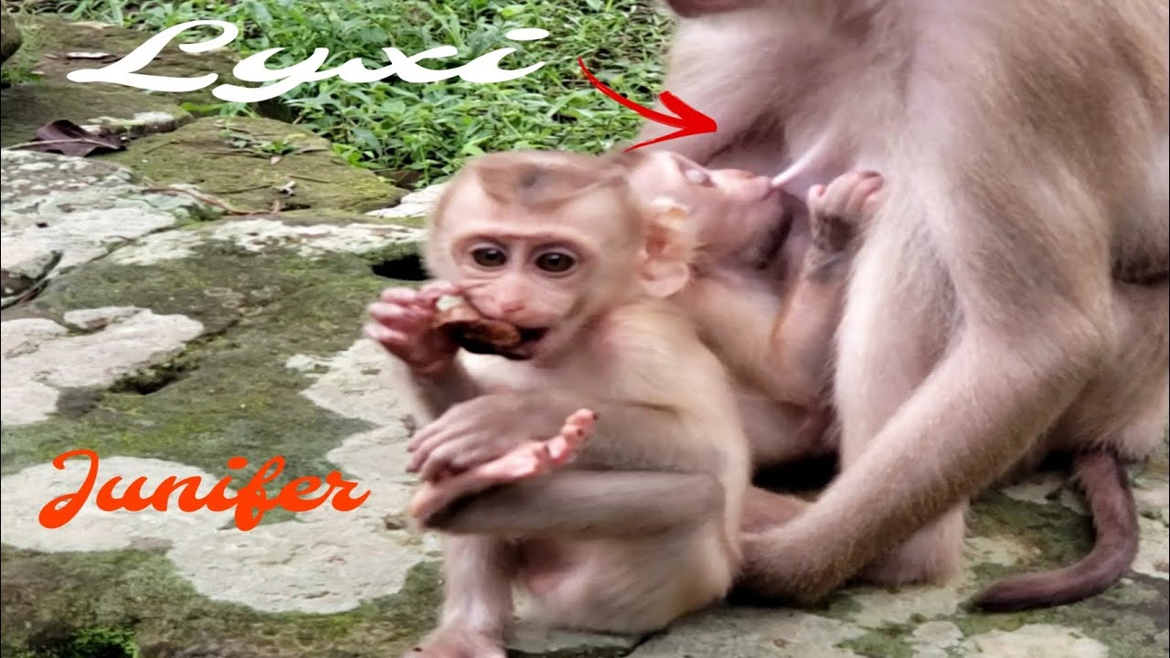 What a wonderful time Loy gives Junifer with Lyxi. - YouTube