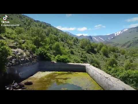 her şeyimi allaha havele ettim. rabbim en iyini bilir