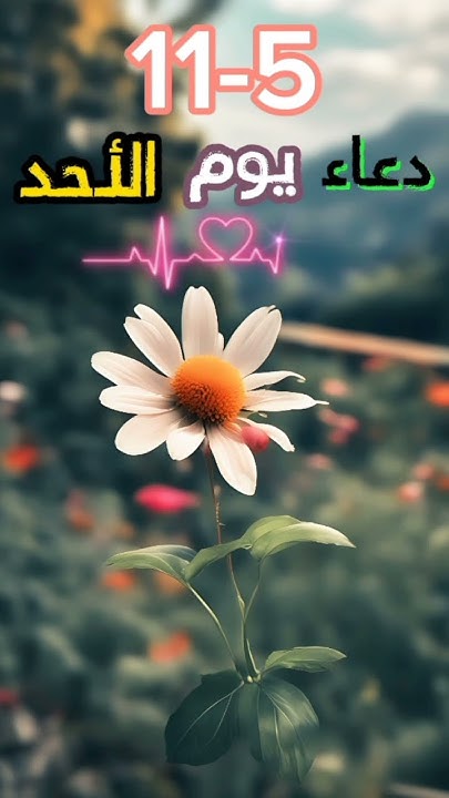 اللهم إنا نسألك فعل الخيرات وترك المنكرات وإقامة الصلاة وإتاء الزكاة يارب العالمين Youtube