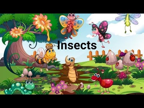 Insects names ll Name of insect with photo ll Insect name in English ...