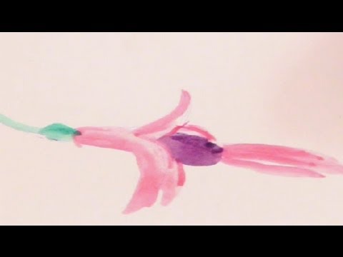 How to Paint a Fuchsia Plant in Watercolors : Art Tutorials - YouTube