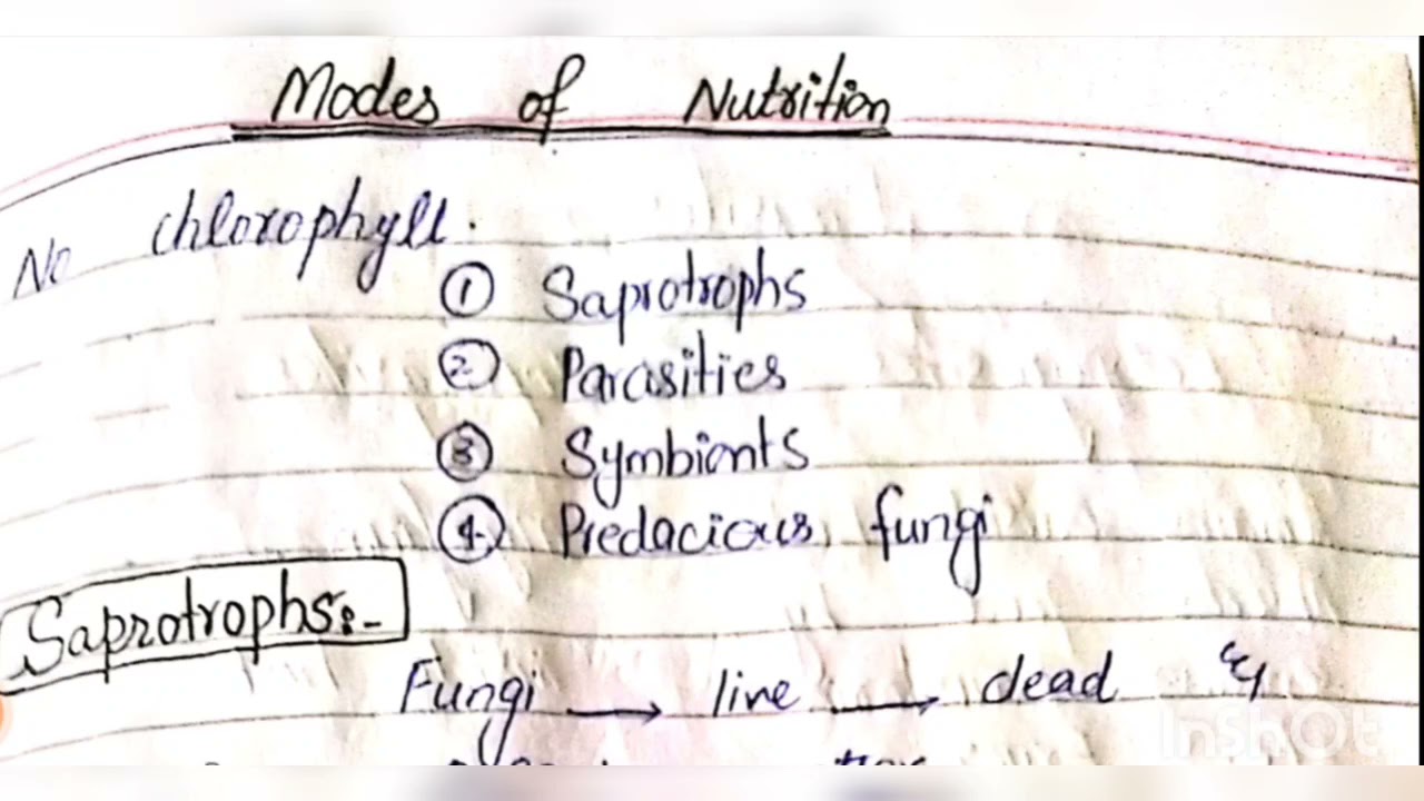 Mode Of Nutrition In Fungi YouTube mode-of-nutrition-in-fungi-youtube